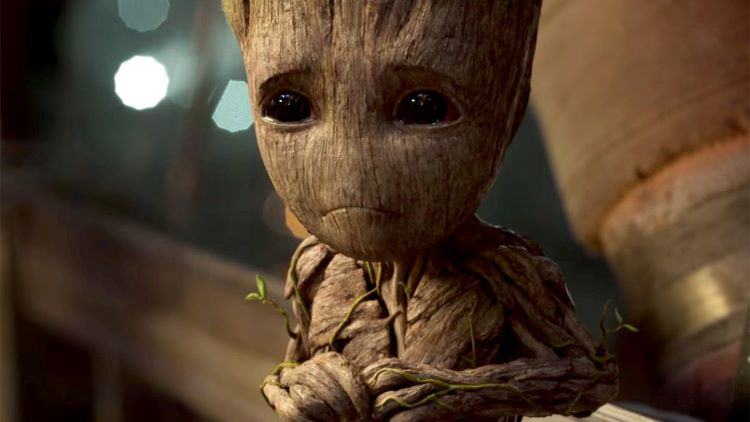 Is Groot Still Alive? | The Human Front